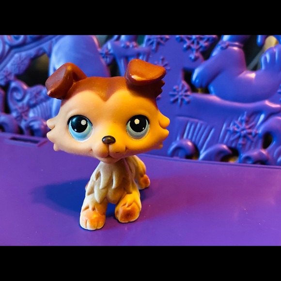 Littlest Pet Shop | Other | Lps Variant Collie 58 Paw Down | Poshmark